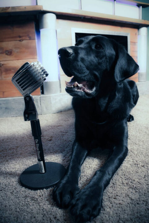 Cassie Boyd Baker | Voice Over | Bright | Friendly | Quirky